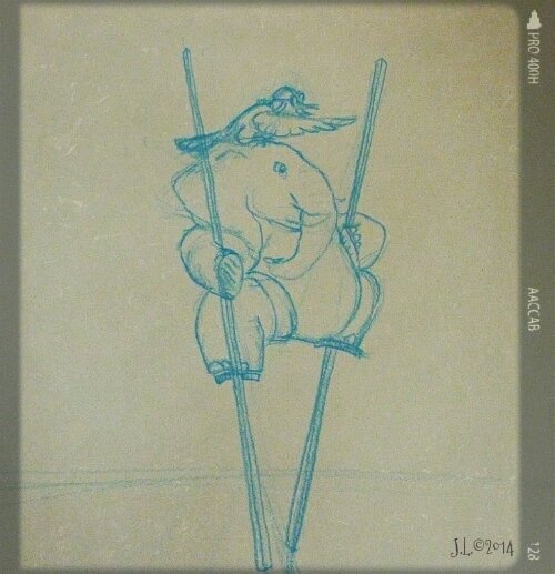 Work Progression on ‘Elli’ the Elephant – Jackie Ling Illustrations